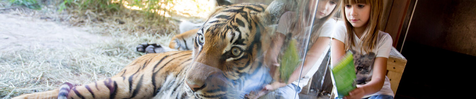Teen Programs - Woodland Park Zoo
