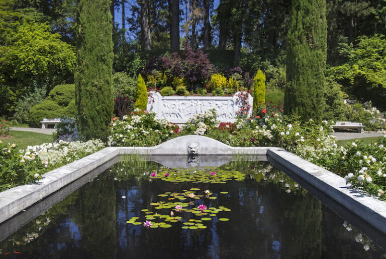 Rose Garden - Woodland Park Zoo