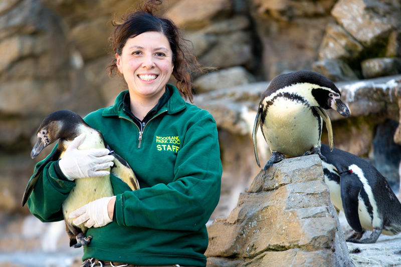 Jobs - Woodland Park Zoo